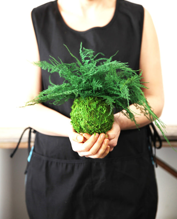 The Science of Serenity: How Artisan Moss Art Boosts Well-Being