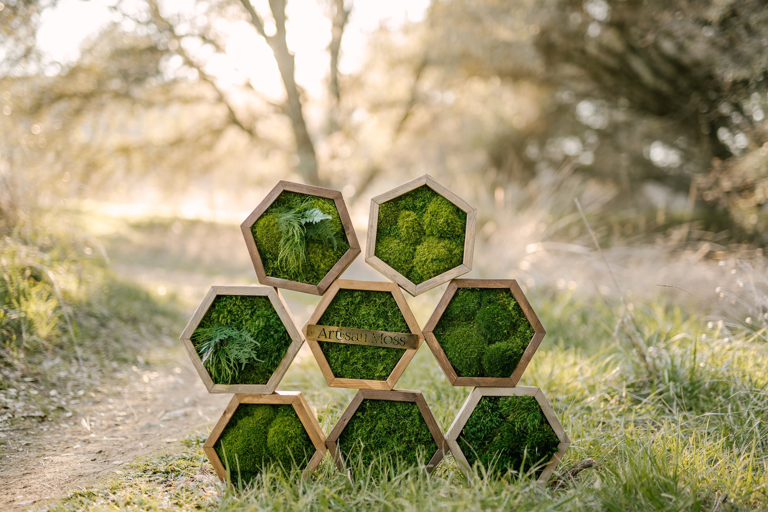 Building Your Oasis: Create a Modular Hex Wall, One Hex at a Time ...