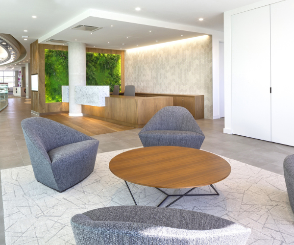 Beautiful, Custom Moss Walls & Panels | Artisan Moss - Artisan Moss