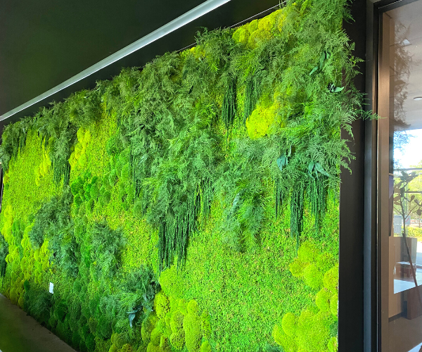 Beautiful, Custom Moss Walls & Panels | Artisan Moss - Artisan Moss