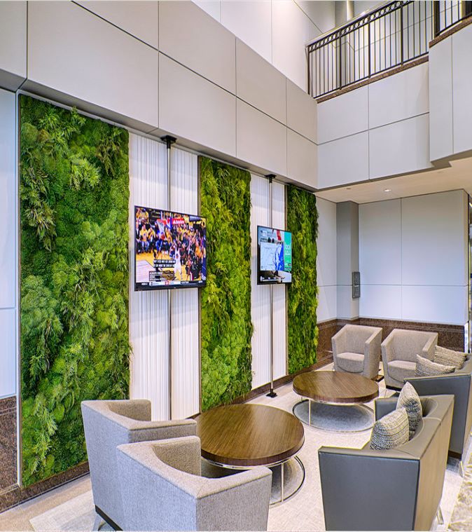 Beautiful, Custom Moss Walls & Panels | Artisan Moss - Artisan Moss