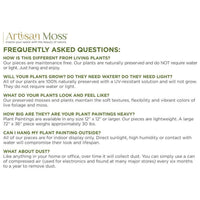 Artisan Moss | Preserved Moss Art & Custom Designed Moss Walls