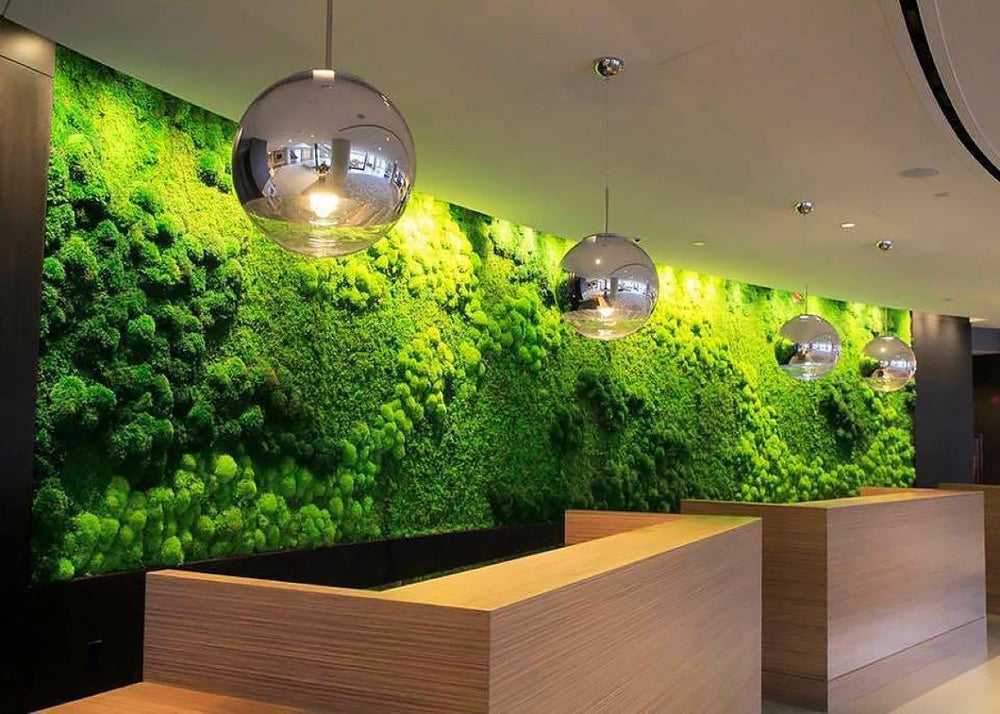 Beautiful, Custom Moss Walls & Panels | Artisan Moss - Artisan Moss