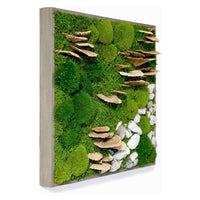 Artisan Moss | Preserved Moss Art & Custom Designed Moss Walls