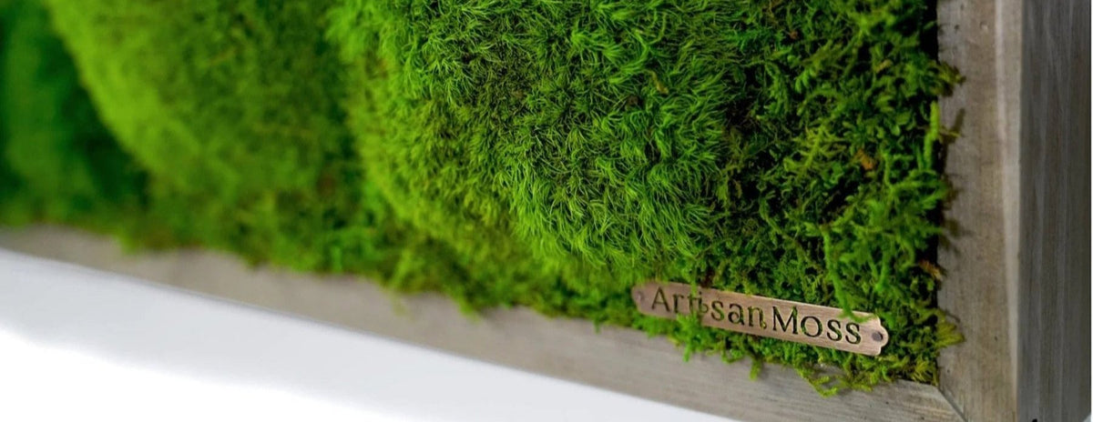 Artisan Moss | Preserved Moss Art & Custom Designed Moss Walls