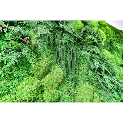 Shop Large Moss Art | Artisan Moss - Artisan Moss