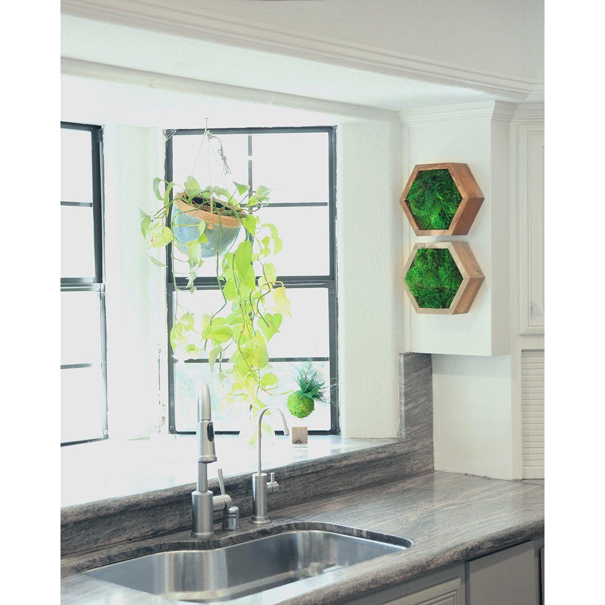 Shop Small Moss Art | Artisan Moss - Artisan Moss